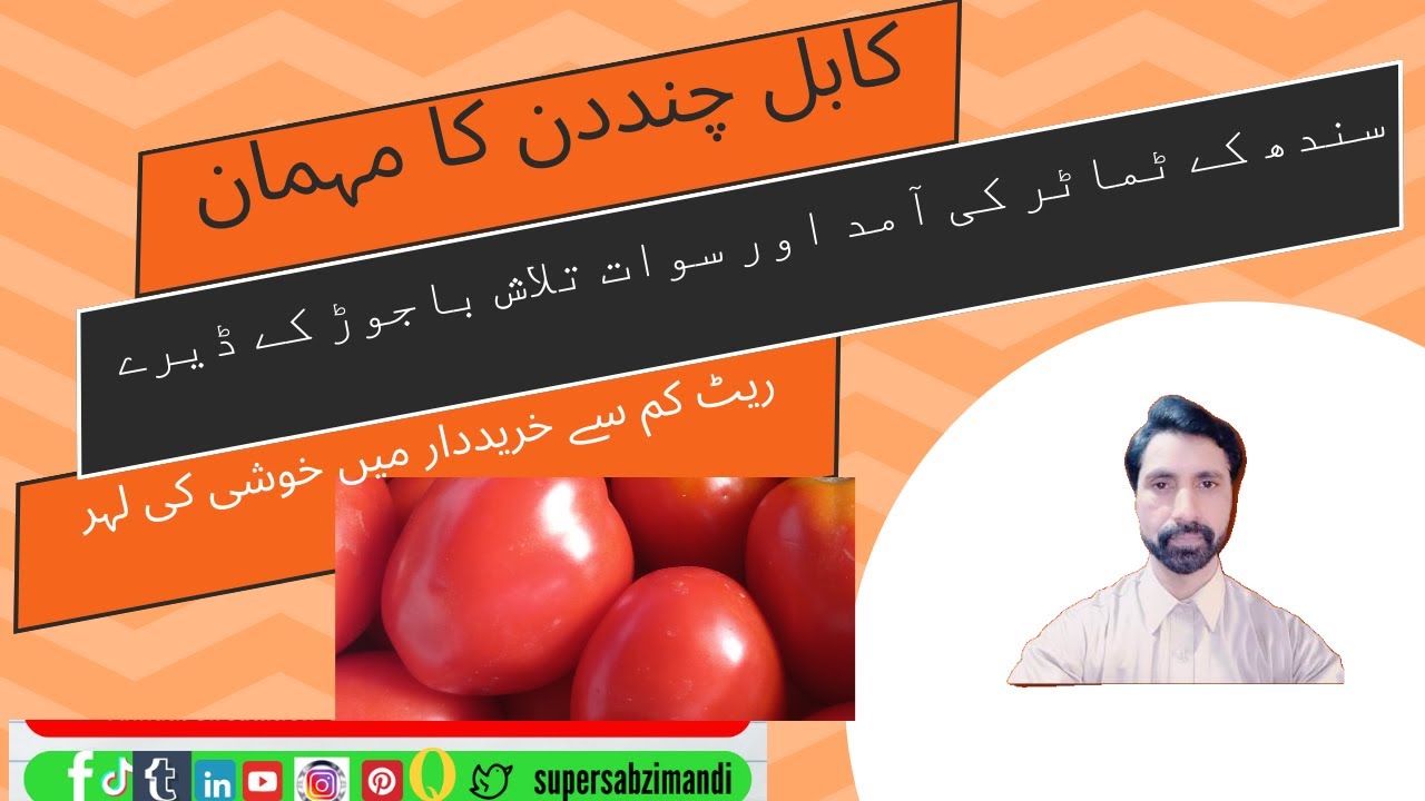 Vegetable and Fruit Mandi Lahore Tomato | Lahore Tomato Price | Sale ...