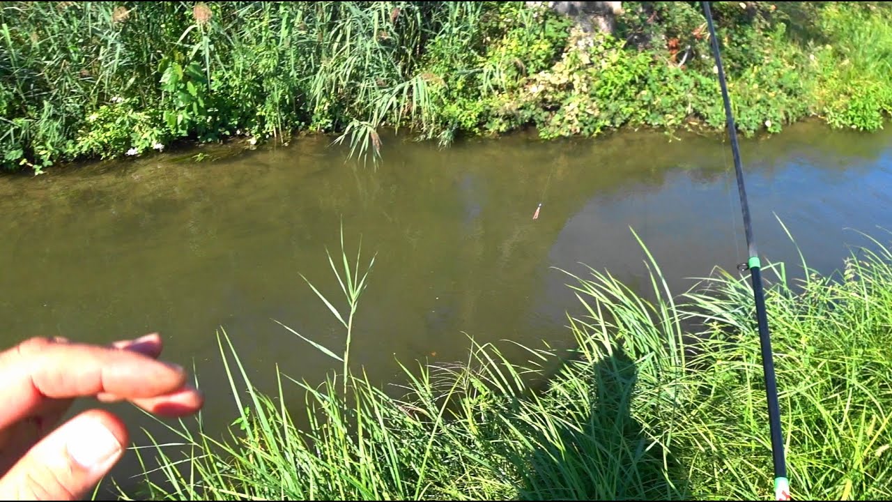 La legge di Murphy che nessuno conosce - YouTube