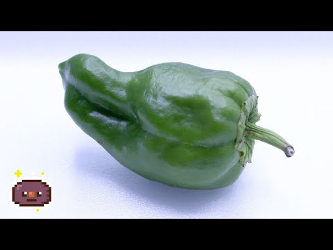 [4K] Green to Red: The 150-Hour Transformation of a Pepper 🫑⌛