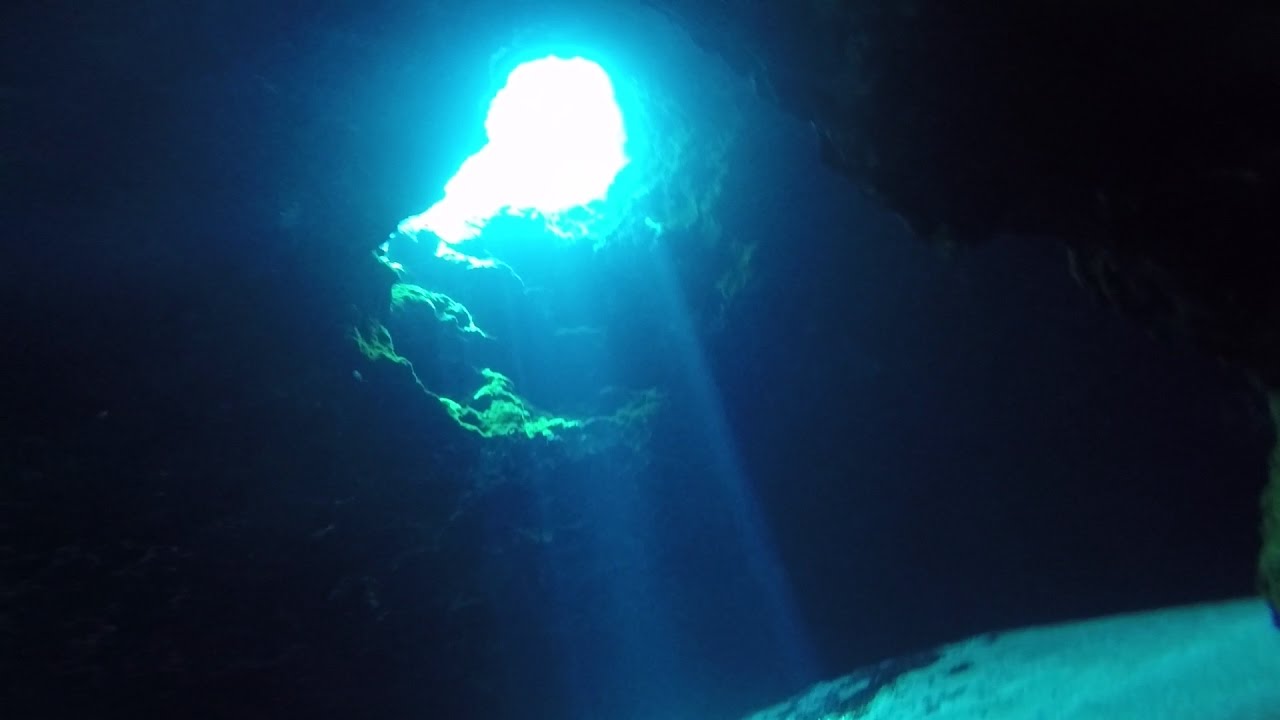 Ichetucknee Springs - Blue Hole (Jug Hole) Exploration Freediving - YouTube