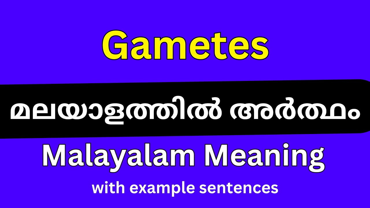 Gametes meaning in Malayalam/Gametes മലയാളത്തിൽ അർത്ഥം - YouTube