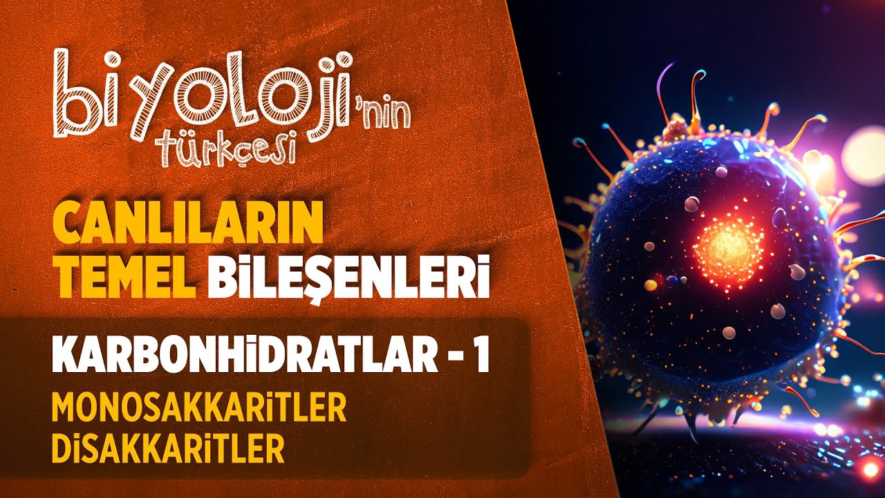 Canlıların Temel Bileşenleri | Karbonhidratlar-1 | Monosakkaritler ...