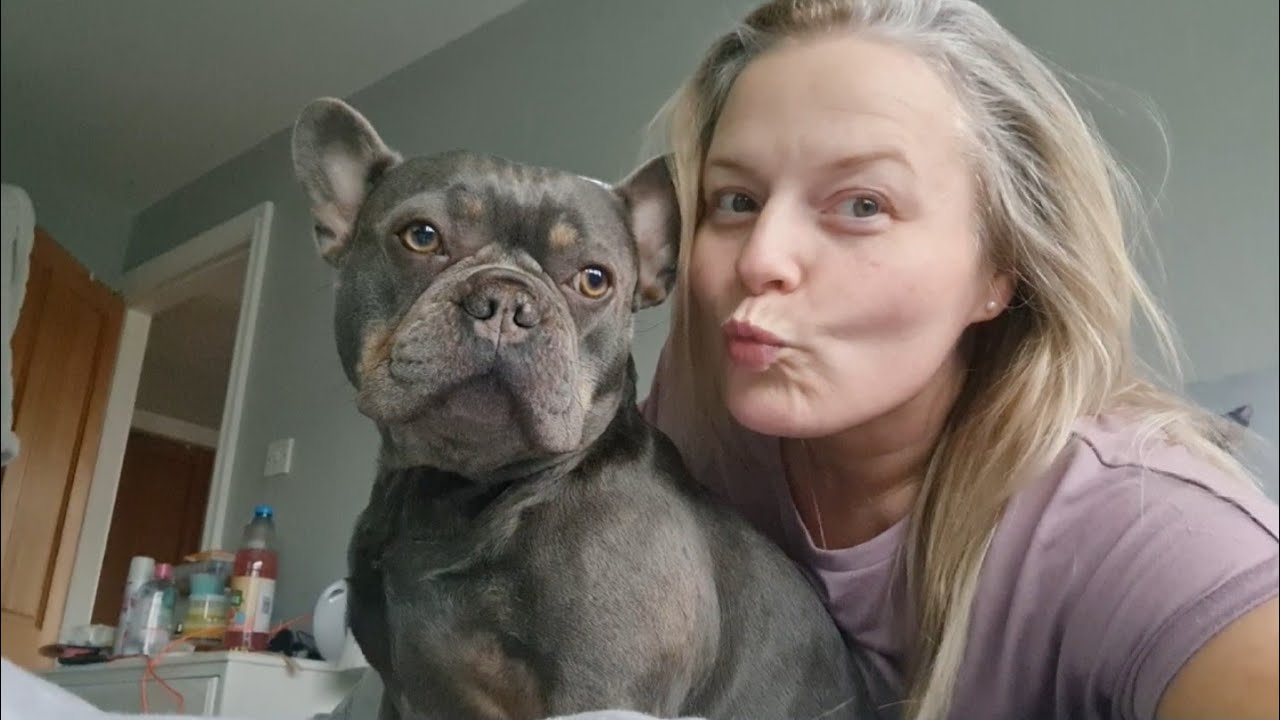 Frenchie fun. Sushi. Tesco shop & easy healthy wraps for dinner. Plus ...