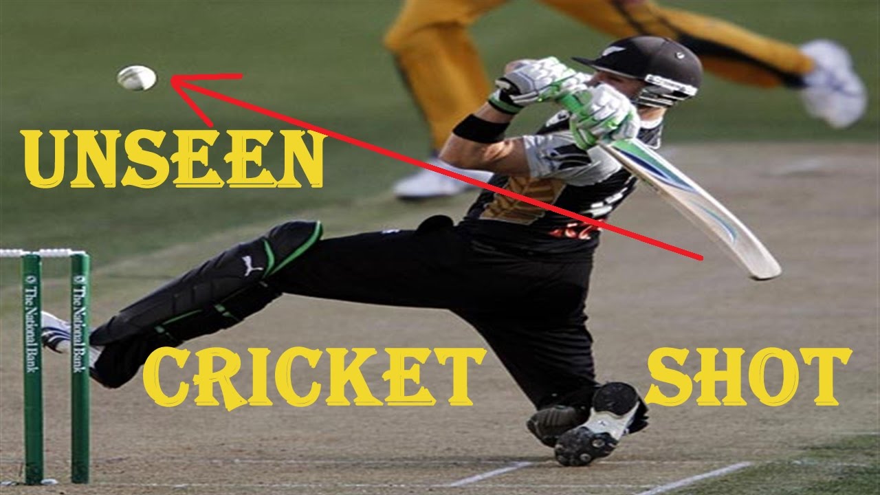 Top 10 Most Worst Weird, Funny, Unbelievable Cricket Shots 2016 Latest ...