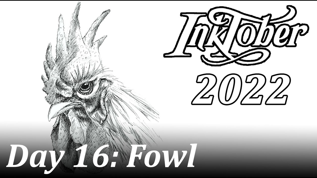INKTOBER 2022 // day 16: FOWL // Ink drawing demo - YouTube