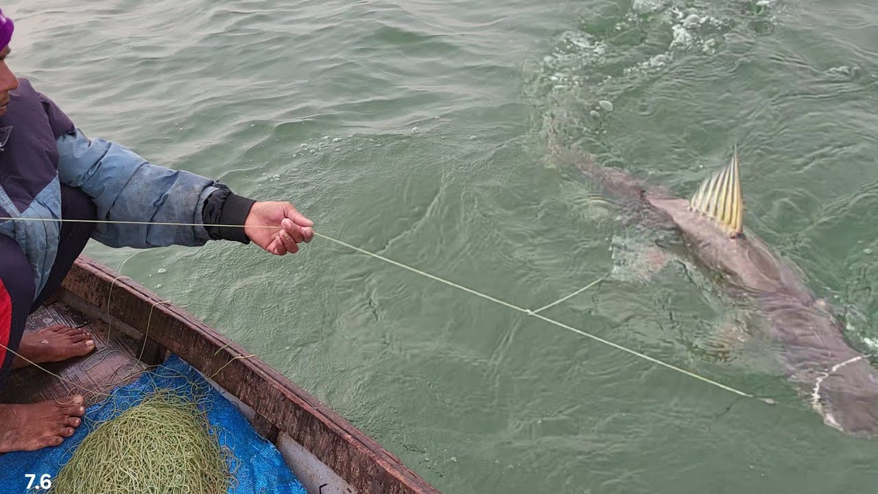 Fishing Videos 2024 ।। Best Fishing Skills 🎣💯।। Traditional Hook ...