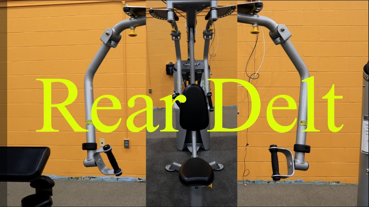 Hoist Machine - Rear Delt - YouTube