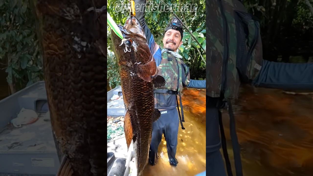 Maior Trairao do mundo ? Olha o Trairao que pesquei ! #pescaria #pesca ...