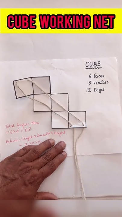 Cube Working net #cube #maths #math #shortsfeed #activity #tlm #shorts ...