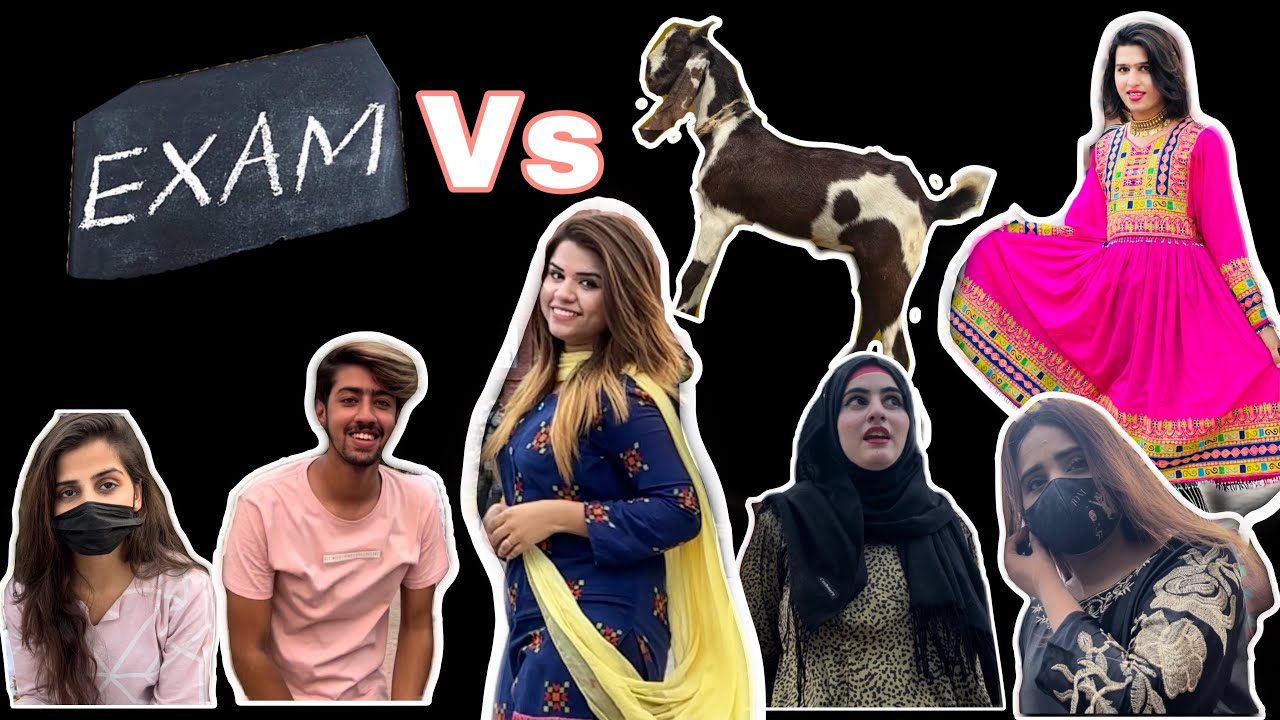 Exams Vs Eid 👀|Fiza Kashif|Hamid Jutt|Sheemza|University of Central ...