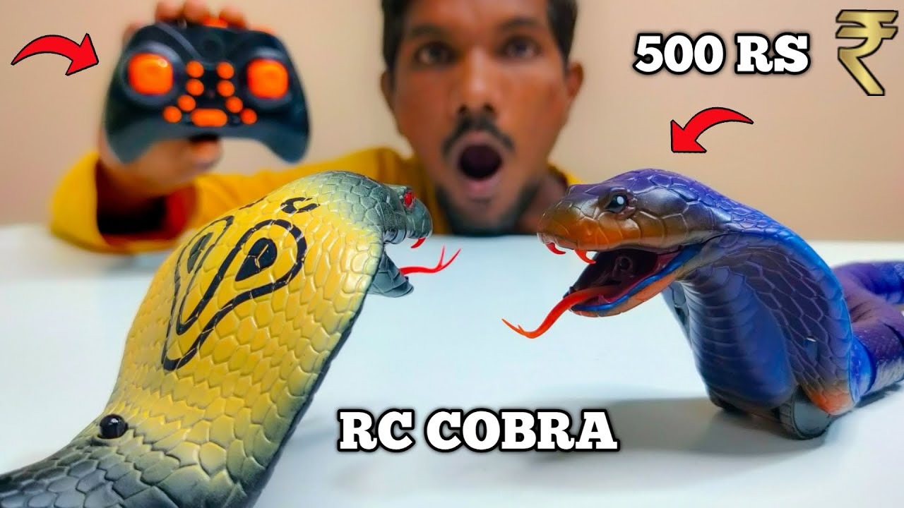 Rc Snake King Cobra & Anaconda Unboxing - YouTube