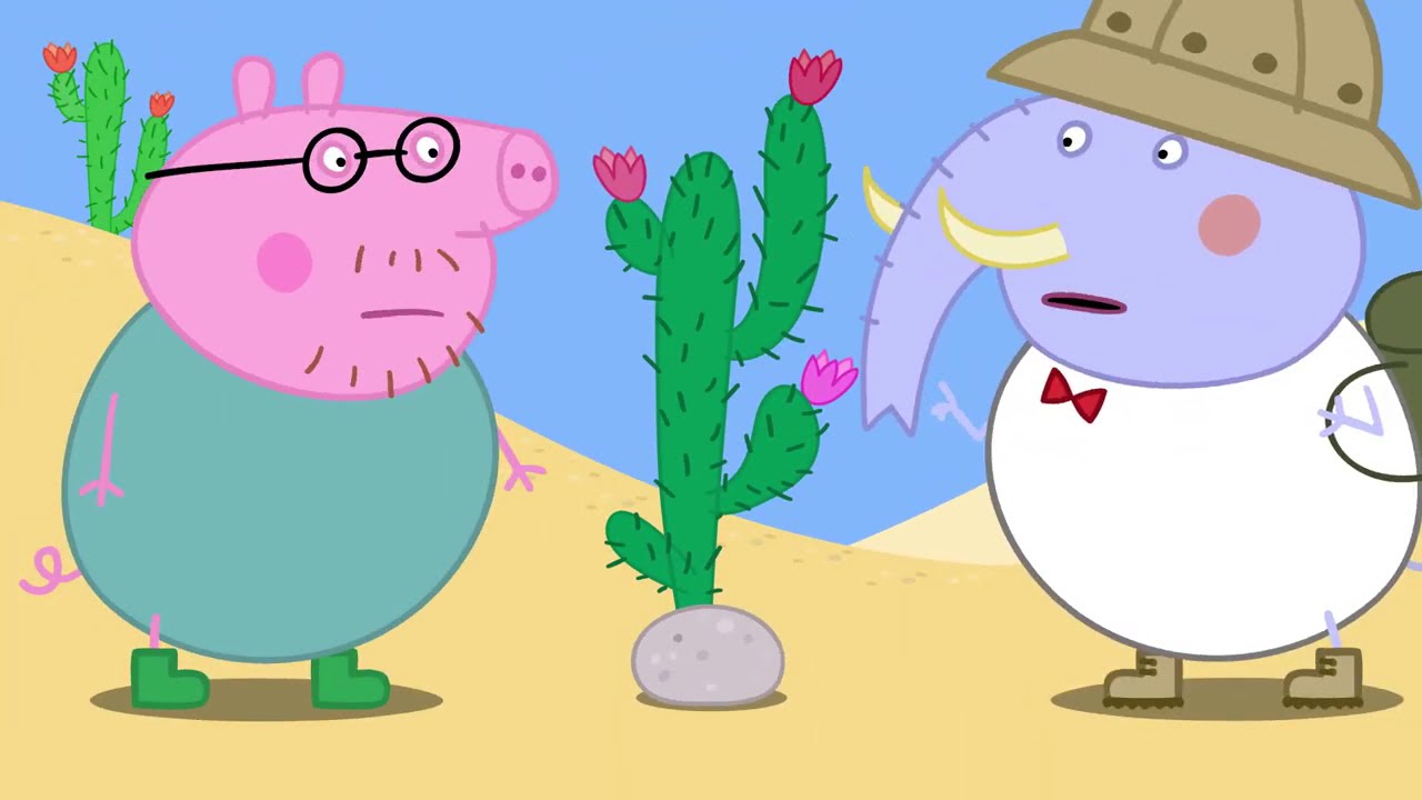 Daddy Pig Flies a Plane Over The Desert 🏜 ️ Peppa Pig Official Channel ...
