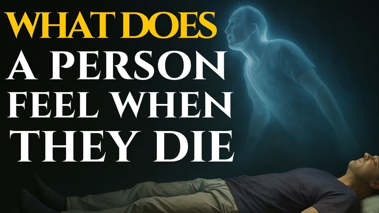 Life After Death | What you really feel when you die - YouTube