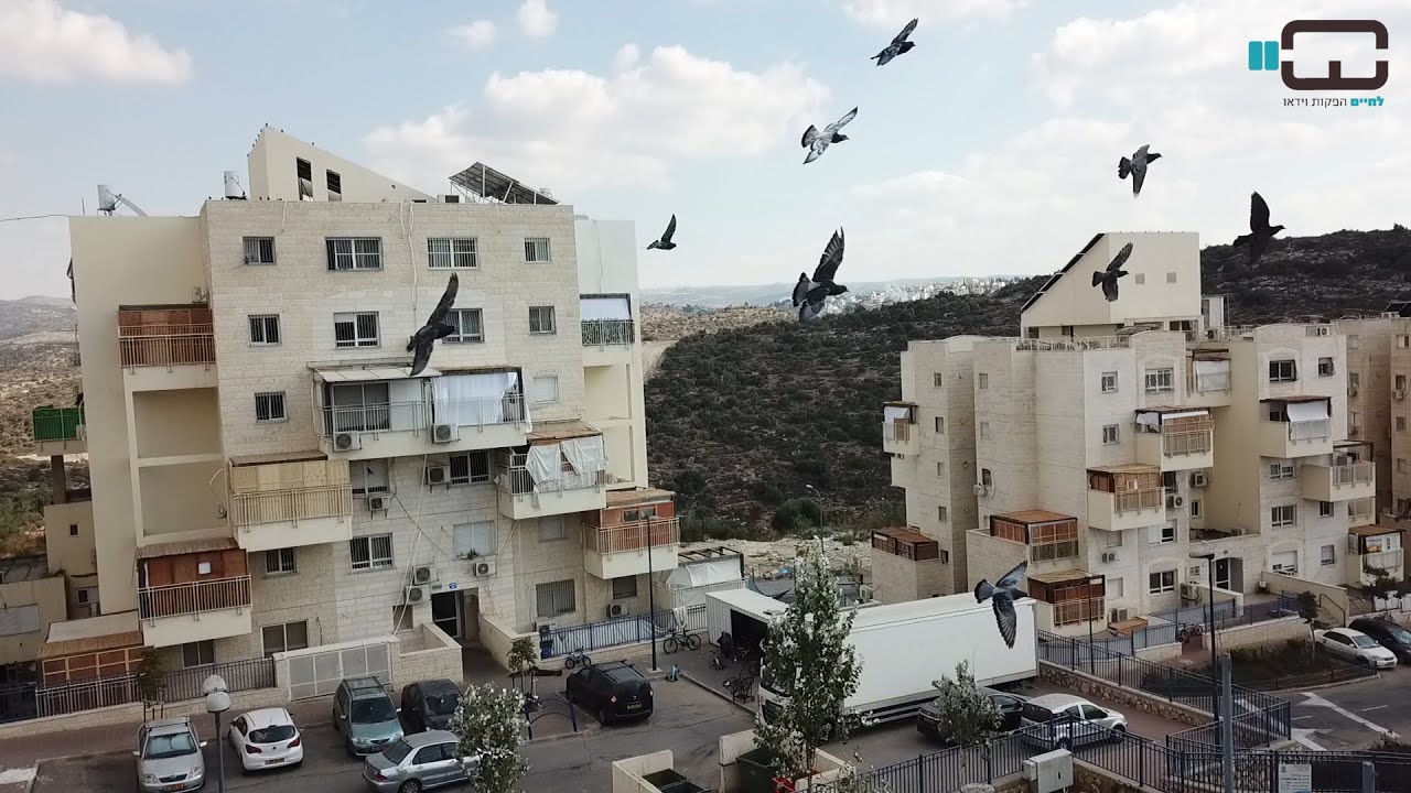 צילומי רחפן סוכות 2020 במודיעין עילית וחשמונאים - Modi'in Illit Israel ...