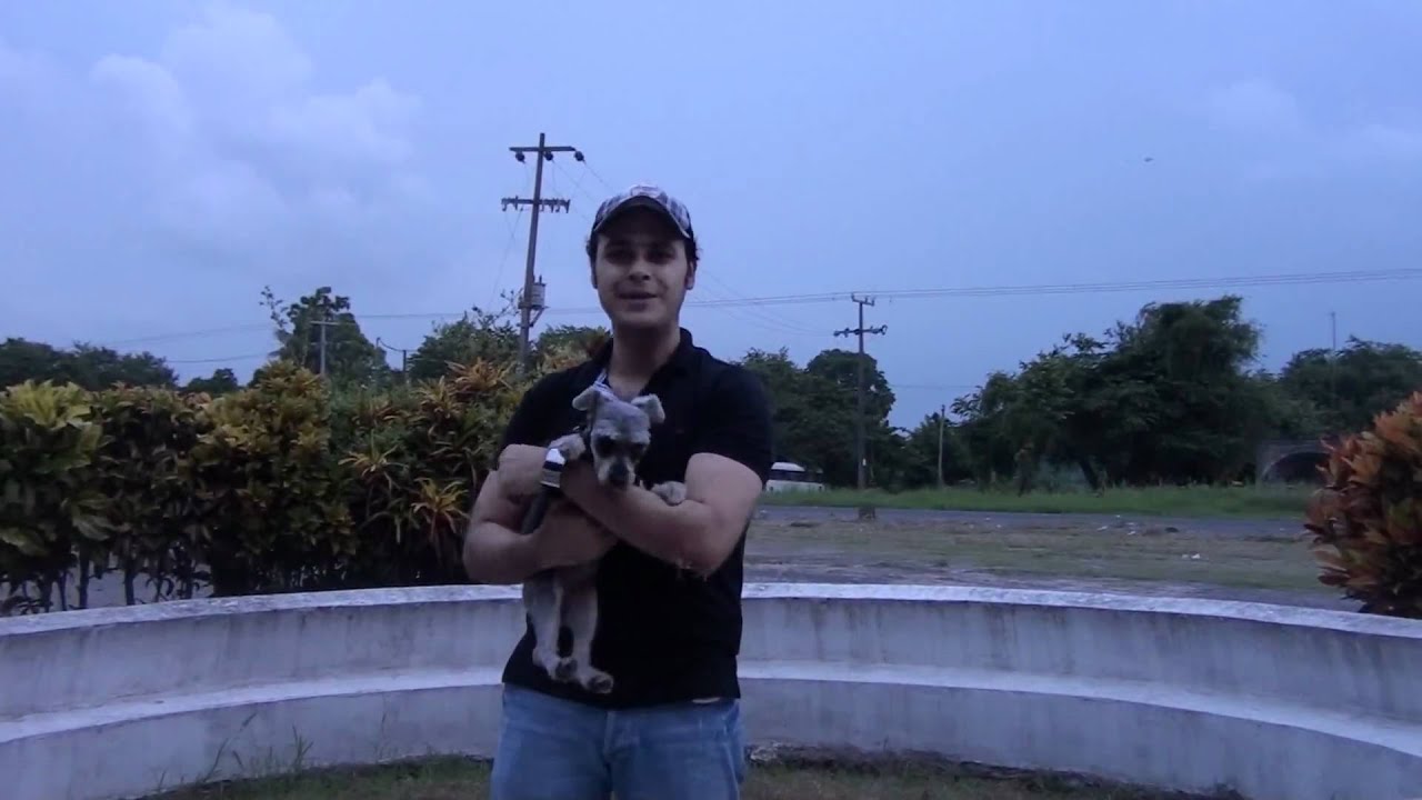 0000000000000000000000000 - YouTube