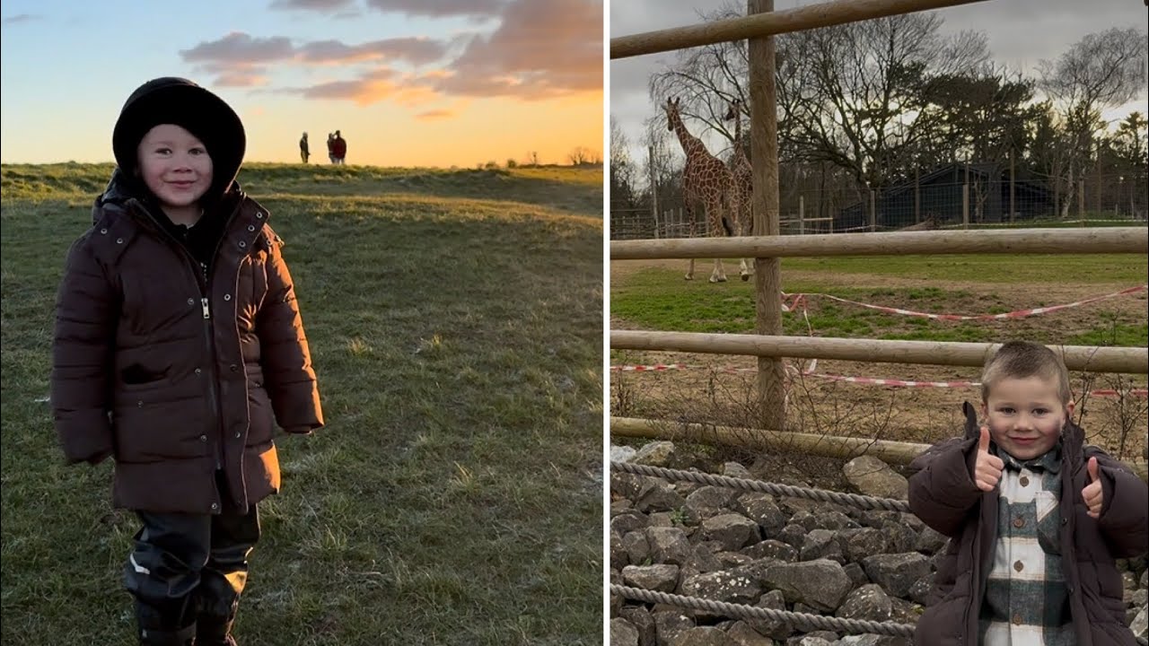 Sunset Walks & A Day Out At The Zoo! (#449) - YouTube