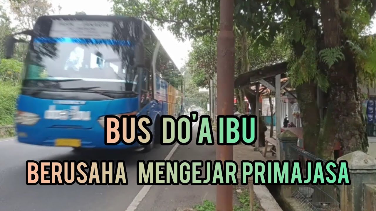 BUS DOA'IBU BERUSAHA MENGEJAR PRIMAJASA - YouTube