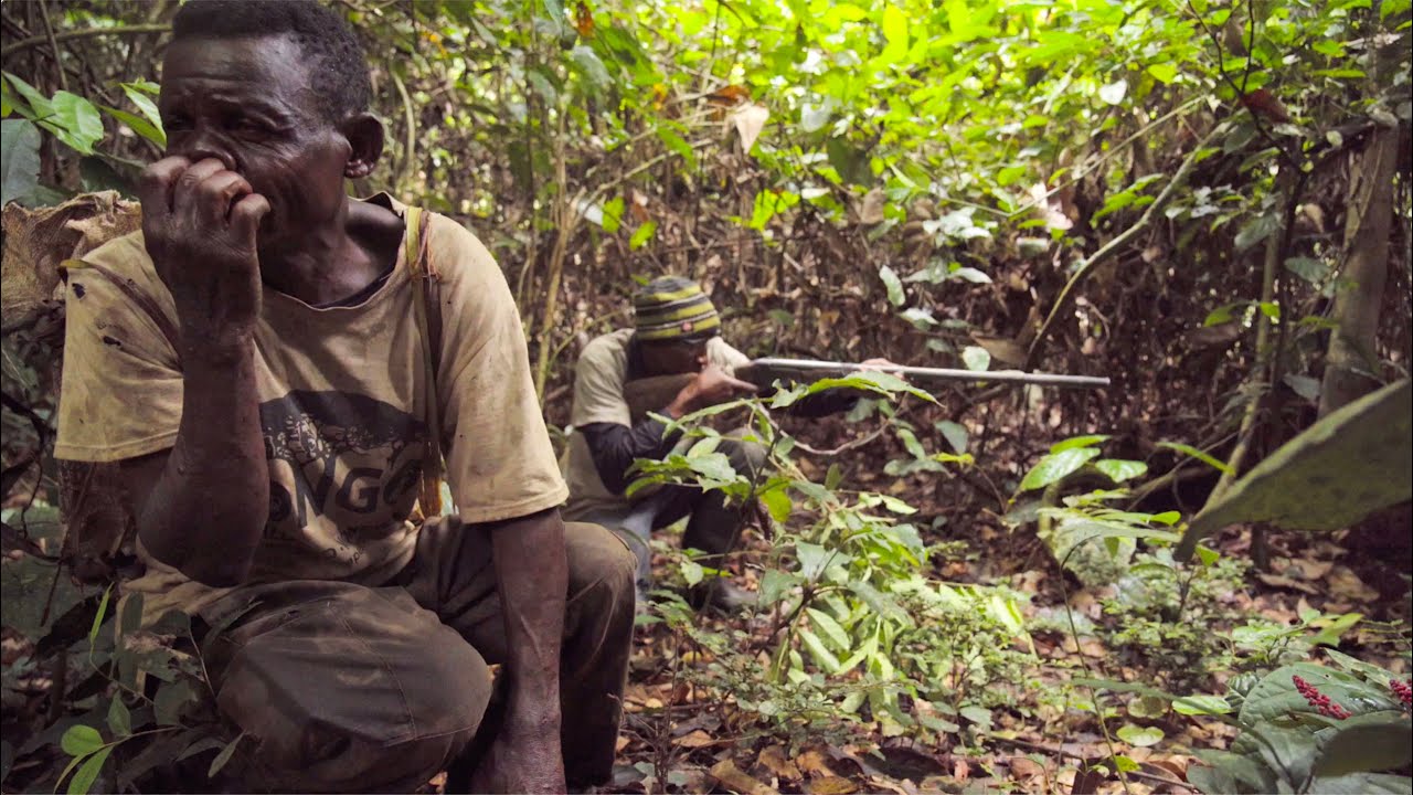 Chasse durable et élevage, une combinaison gagnante au Congo - Jean ...