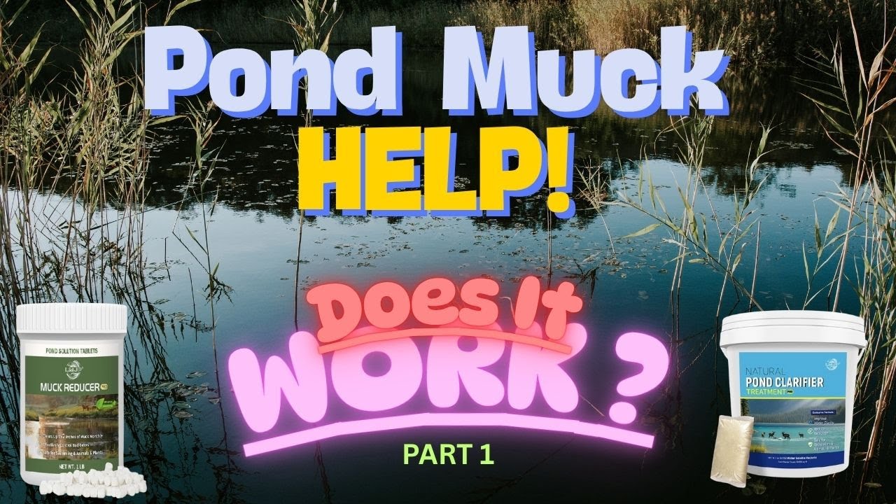 Pond Muck Help Part 1 - YouTube