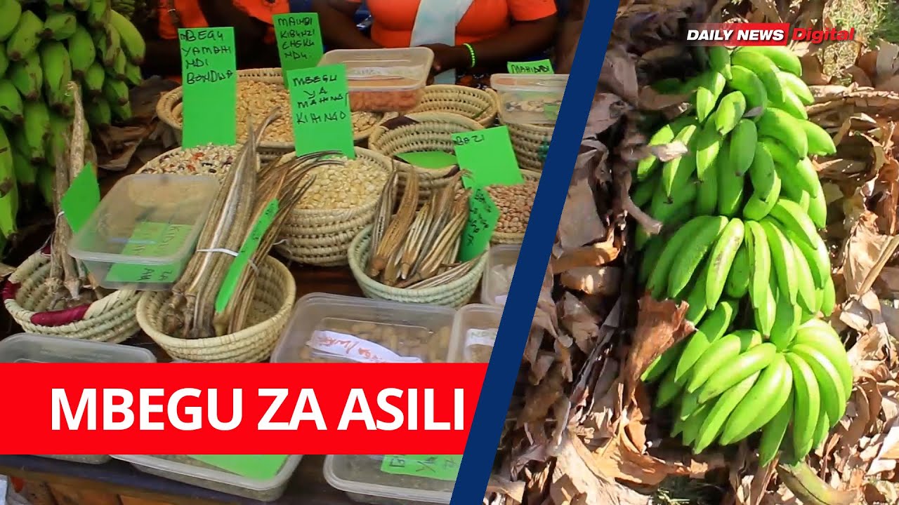 MBEGU ZA ASILI ZAHOFIWA KUPOTEA - YouTube