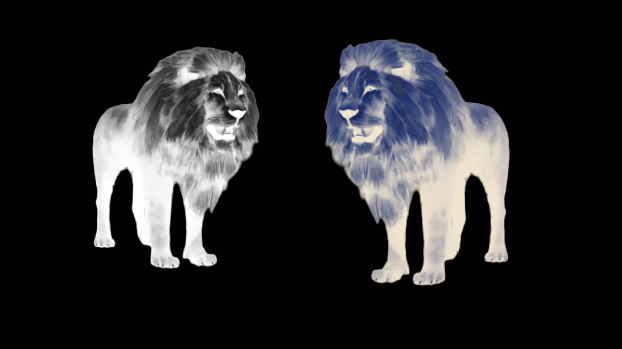 King of lion Singam 2 BGM - YouTube