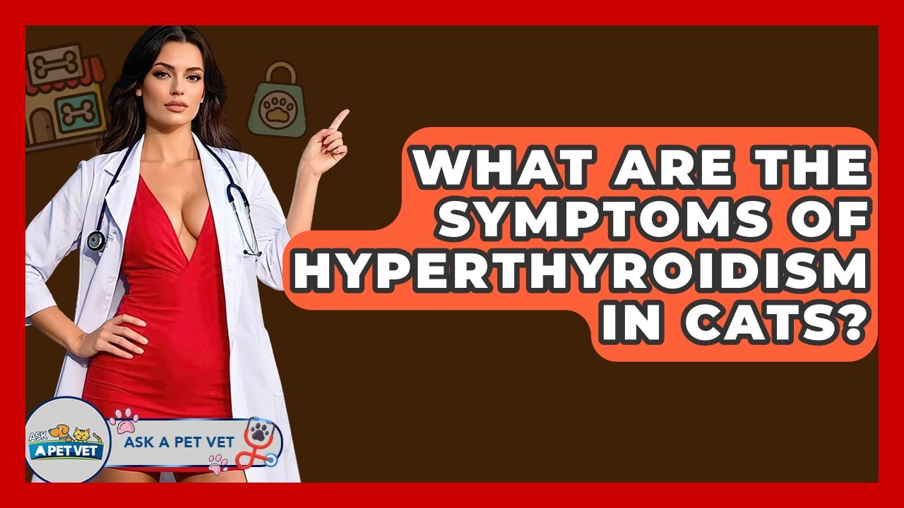 What Are The Symptoms Of Hyperthyroidism In Cats? - Ask A Pet Vet - YouTube