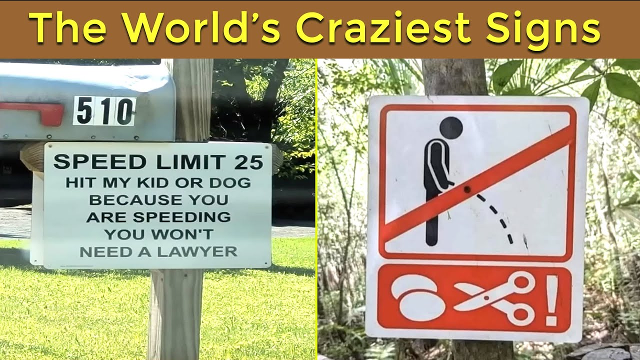 Can’t Stop Laughing: The World’s Craziest Signs! || Happy Panda - YouTube