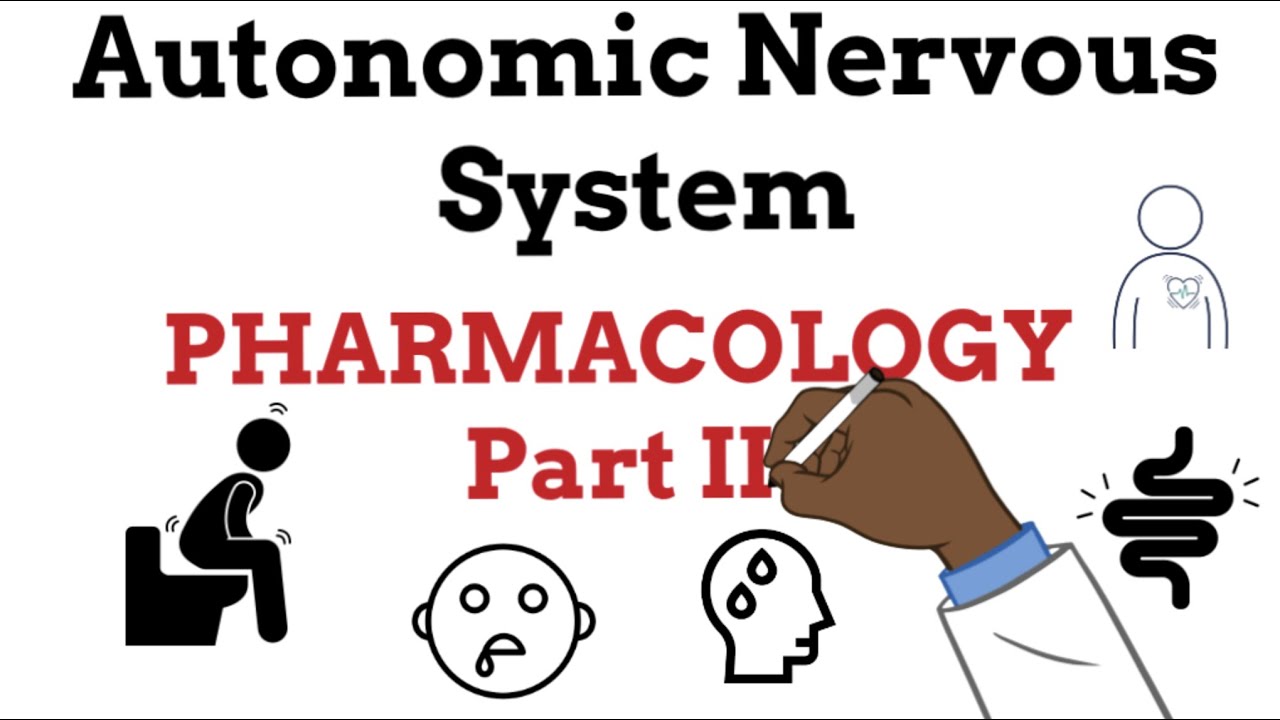 Autonomic Nervous System Pharmacology (Drug classes, mechanism, side ...