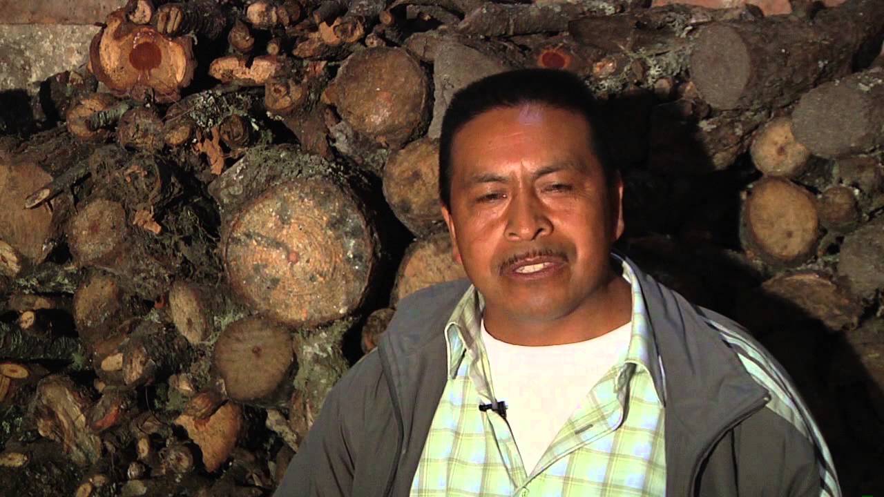 Video Institucional del Programa PINPEP del INAB - YouTube