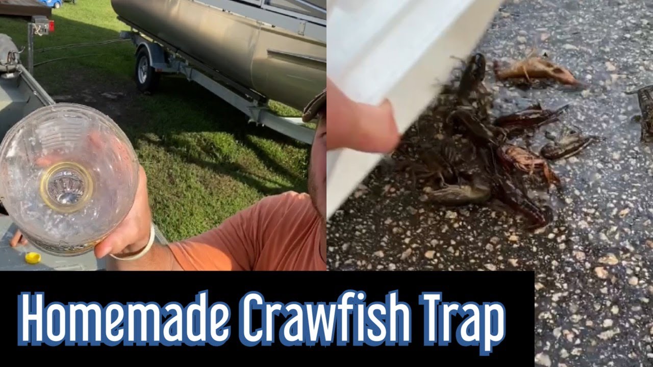 How to catch Crawfish | Homemade Trap | Wild Voys - YouTube