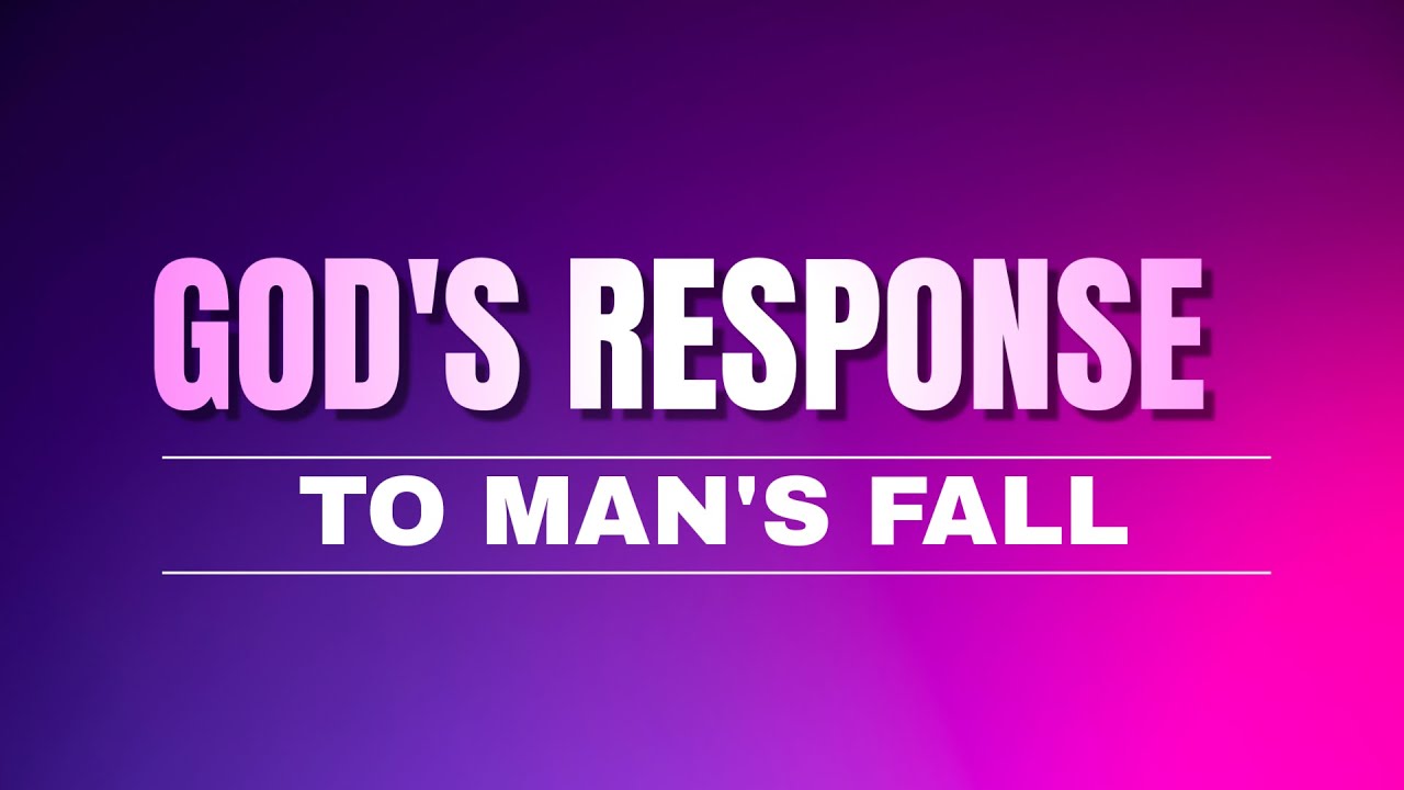 God's Response to Man's Fall - YouTube