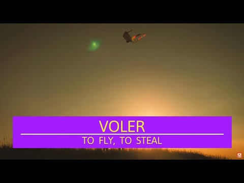 French Practice: How to say " TO FLY, TO STEAL " in French : VOLER ...