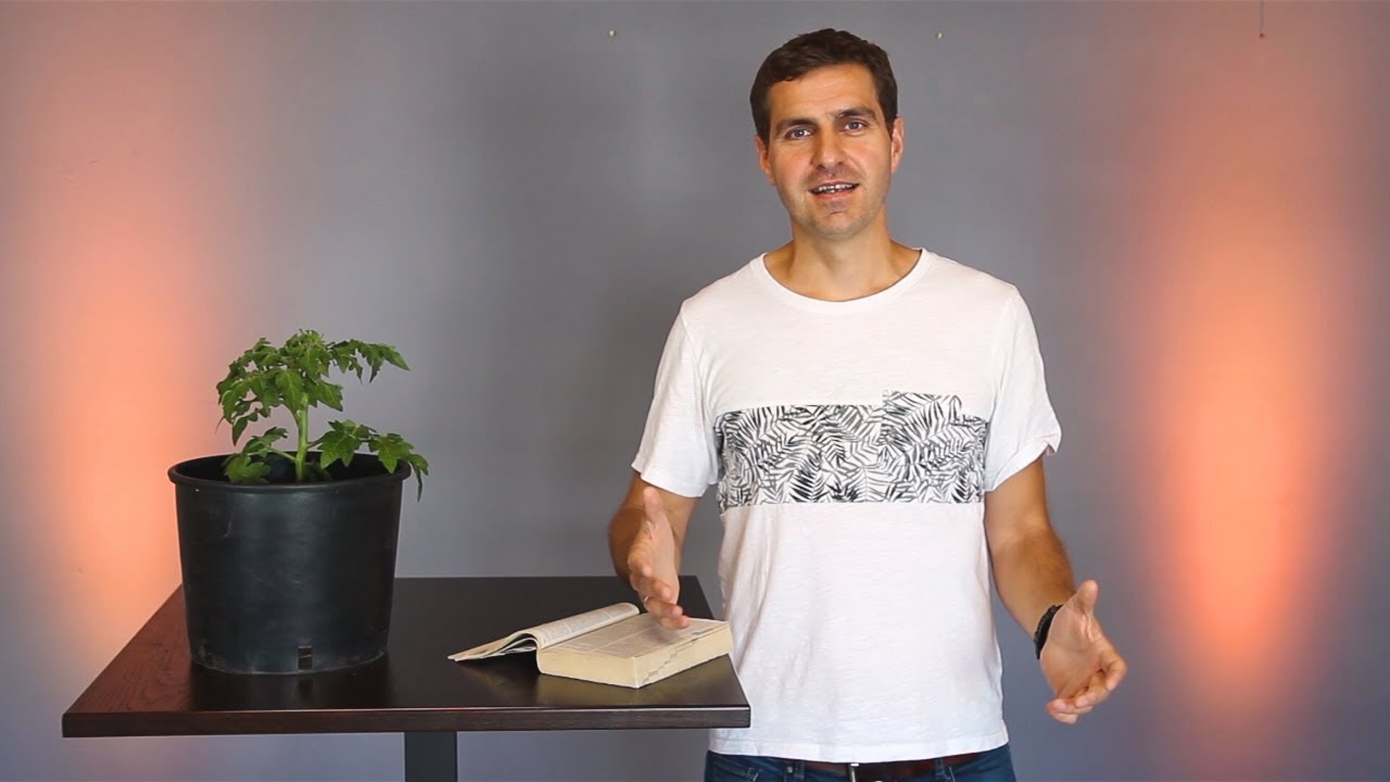 Input zum Hausgottesdienst von Paul Reichenbach | 31.05.2020 | FeG ...