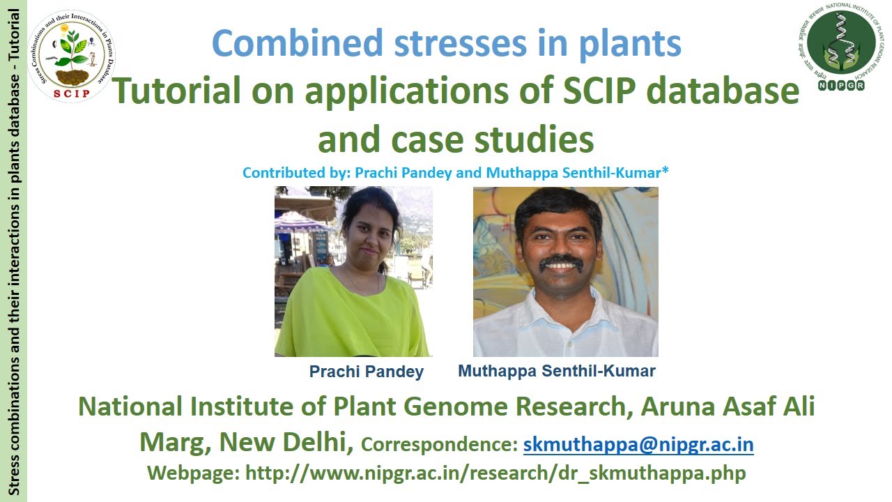 SCIPDb_38: Tutorial on applications of SCIP database and case studies ...