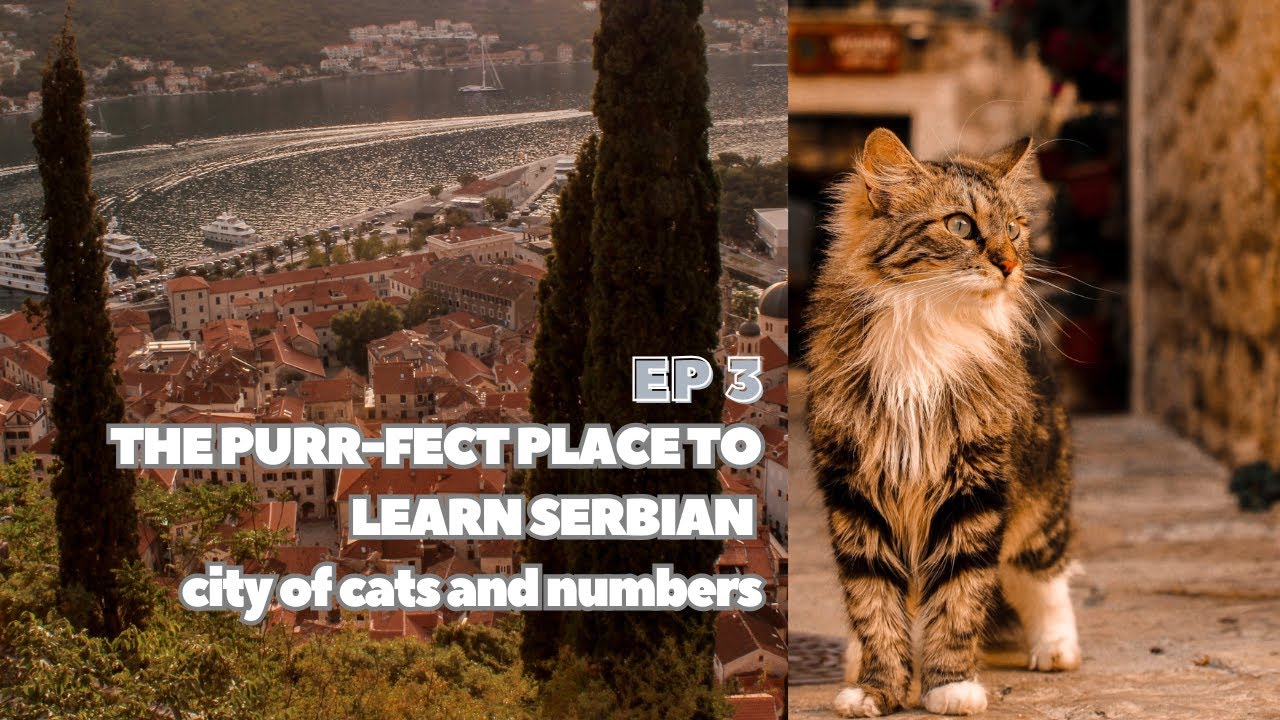 Exploring Kotor + Serbian Numbers Lesson - YouTube