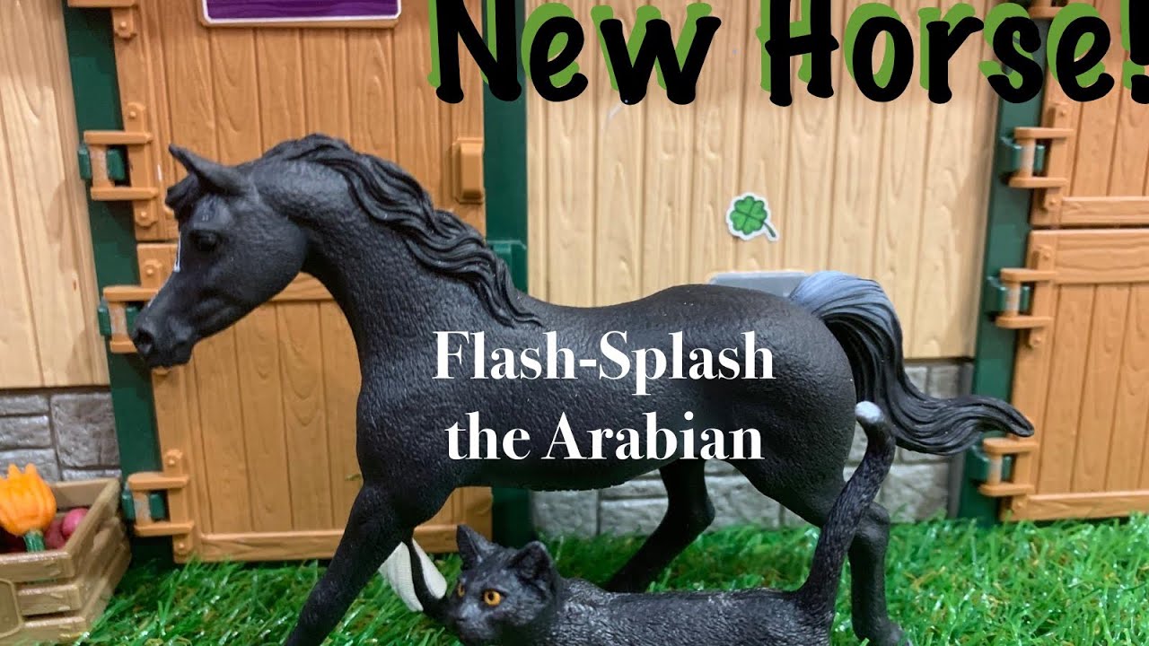 Flash-Splash the Arabian - YouTube