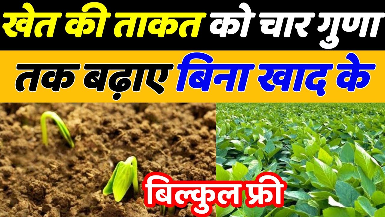 खेत की ताकत को चार गुणा तक बढ़ाएं बिल्कुल फ्री में | agriculture ...