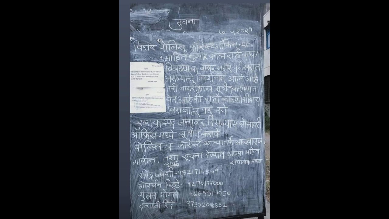 Wild animal (Leopard/Tiger) spotted in J P Nagar, Bolinj Virar west ...