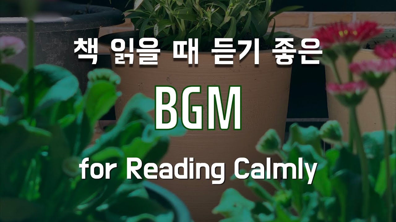 책 읽을 때 듣기 좋은 음악, 평상시 빈 공간을 채울 떄, BGM For Reading Calmly - YouTube