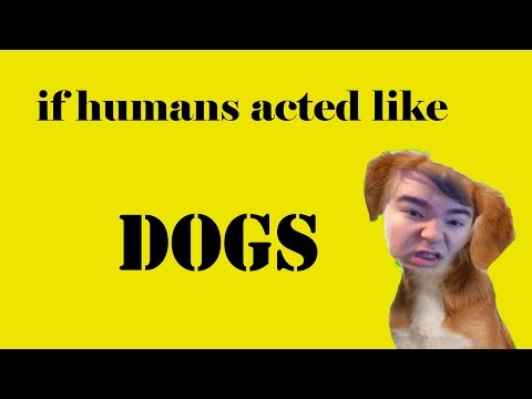 IF HUMANS ACTED LIKE DOGS