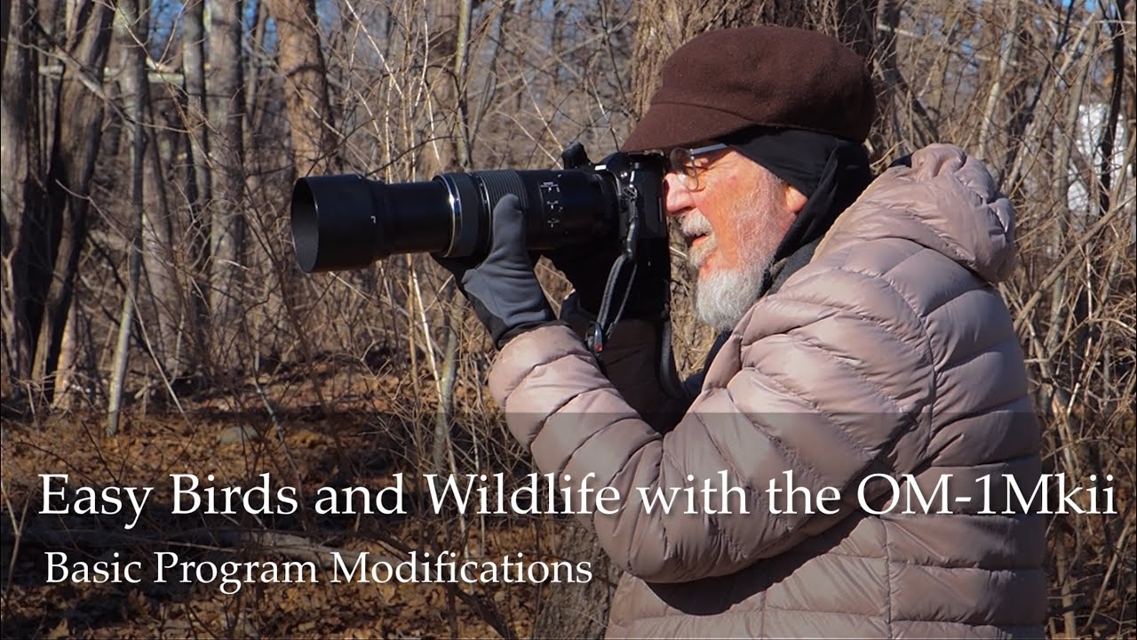 Easy Birds and Wildlife with the OM System OM-1 Mkii: modifications to Program mode. - YouTube