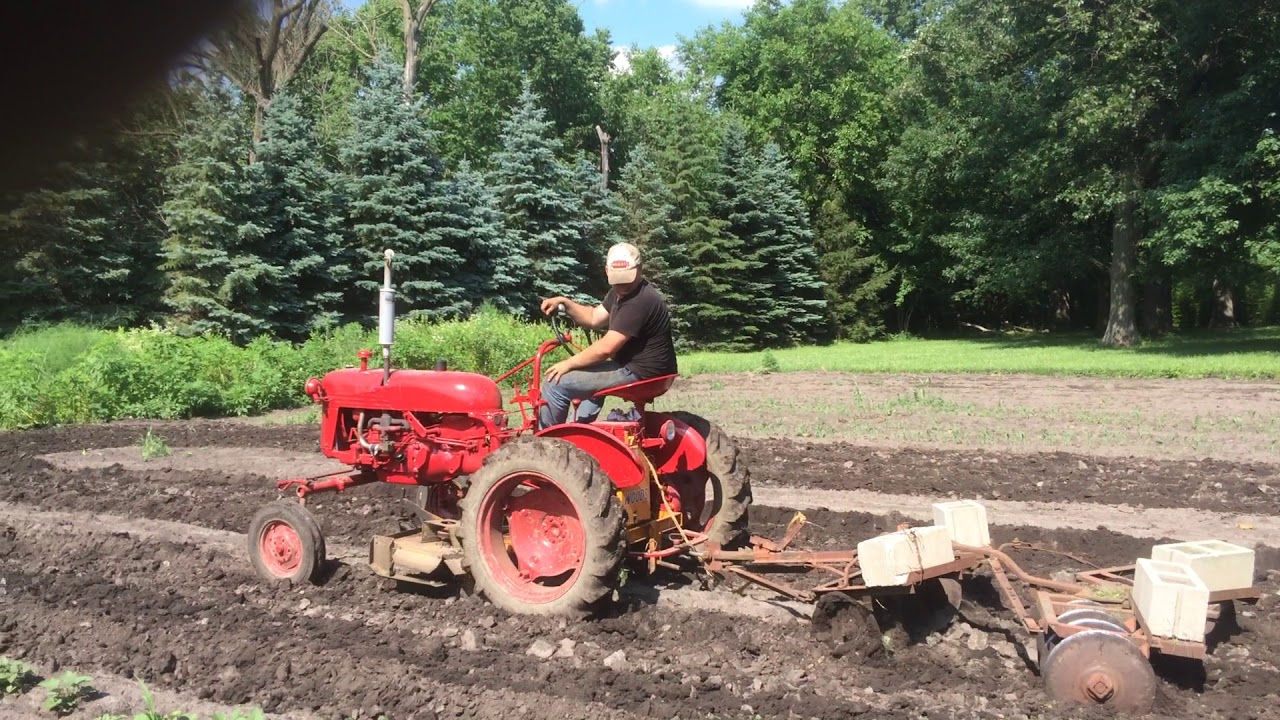 Farmall Cub disking - YouTube
