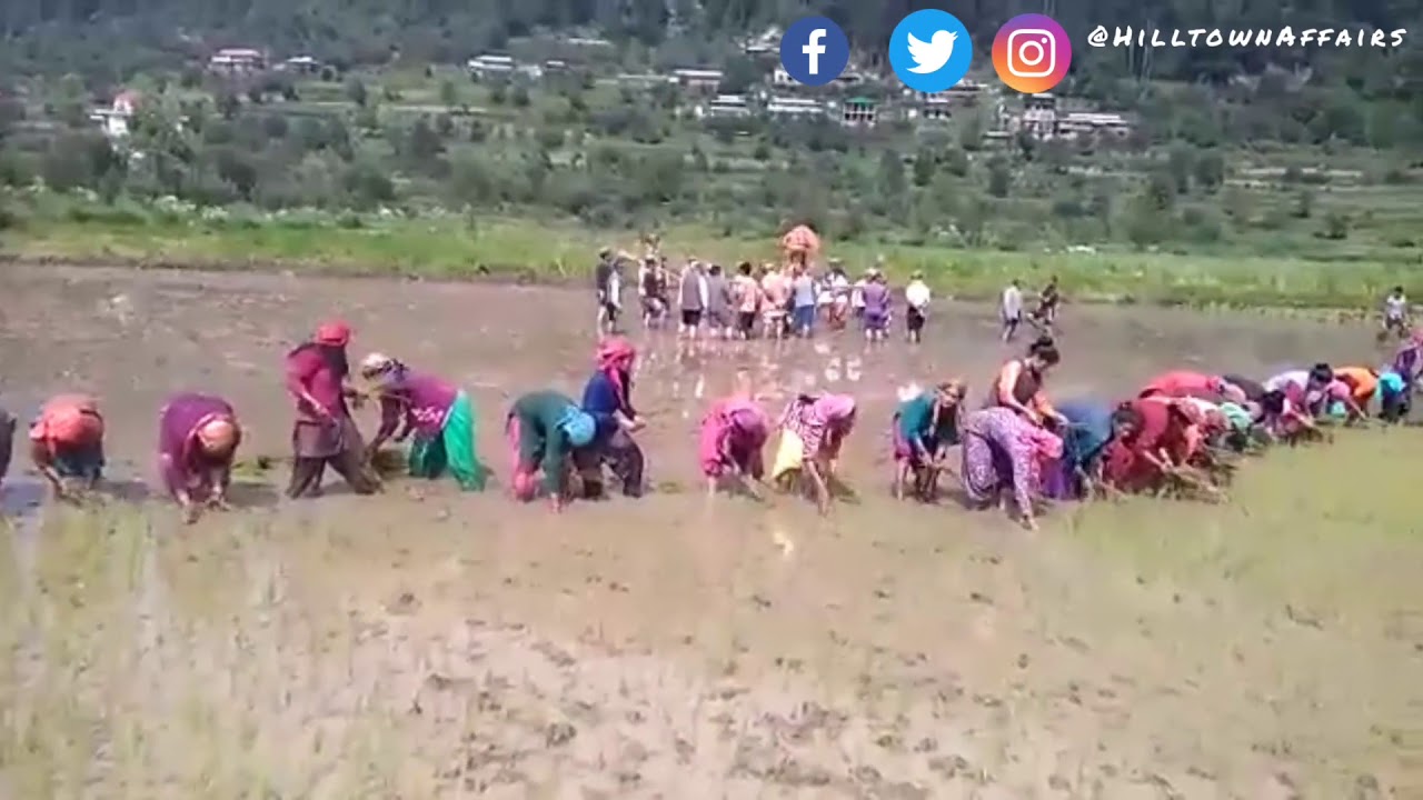 Beautiful Kulluvi Culture ! Kullu ! Himachal ! Devbhoomi ! - YouTube