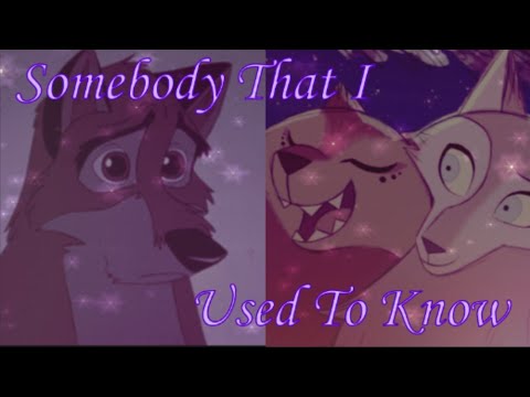 Animash | Somebody That I Used To Know \