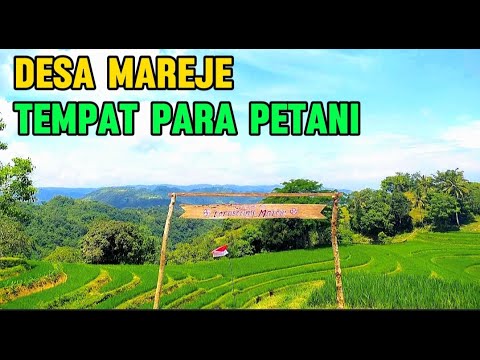 Ngedrone desa mareje desa petani yg sangat indah vlog dari udara ...