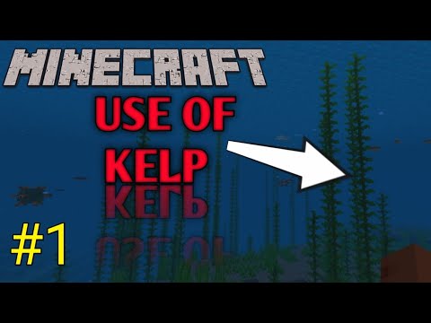 How to use kelp in Minecraft || What is use of kelp in Minecraft 1.20 ...