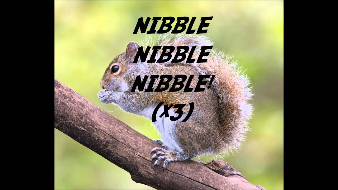Nibble - YouTube