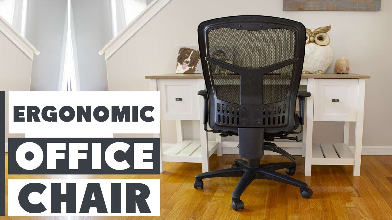 Top 10 Best Ergonomic Office Chairs in 2025 | The Ultimate Countdown ...