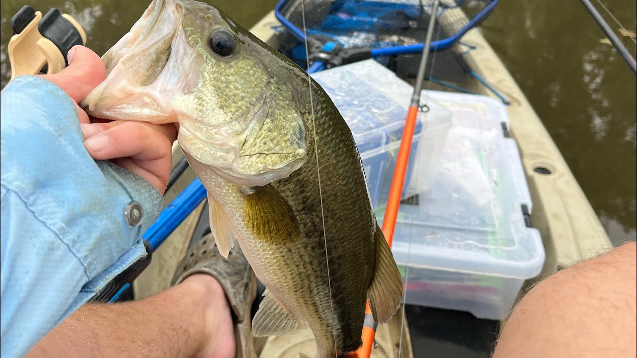 Foggy morning on Butler State Fishing Lake. - YouTube
