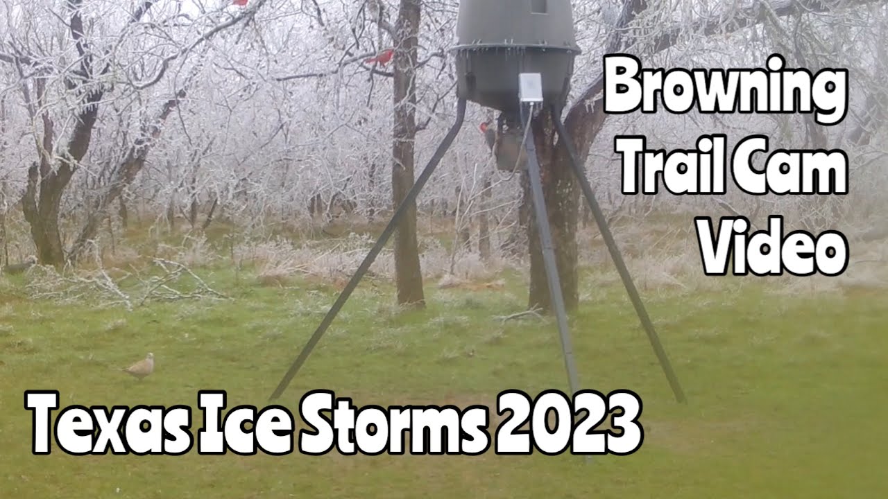 Ice Storm Texas 2023 Uncut Trail Cam Footage Feb. 1-2, 2023 | Browning ...
